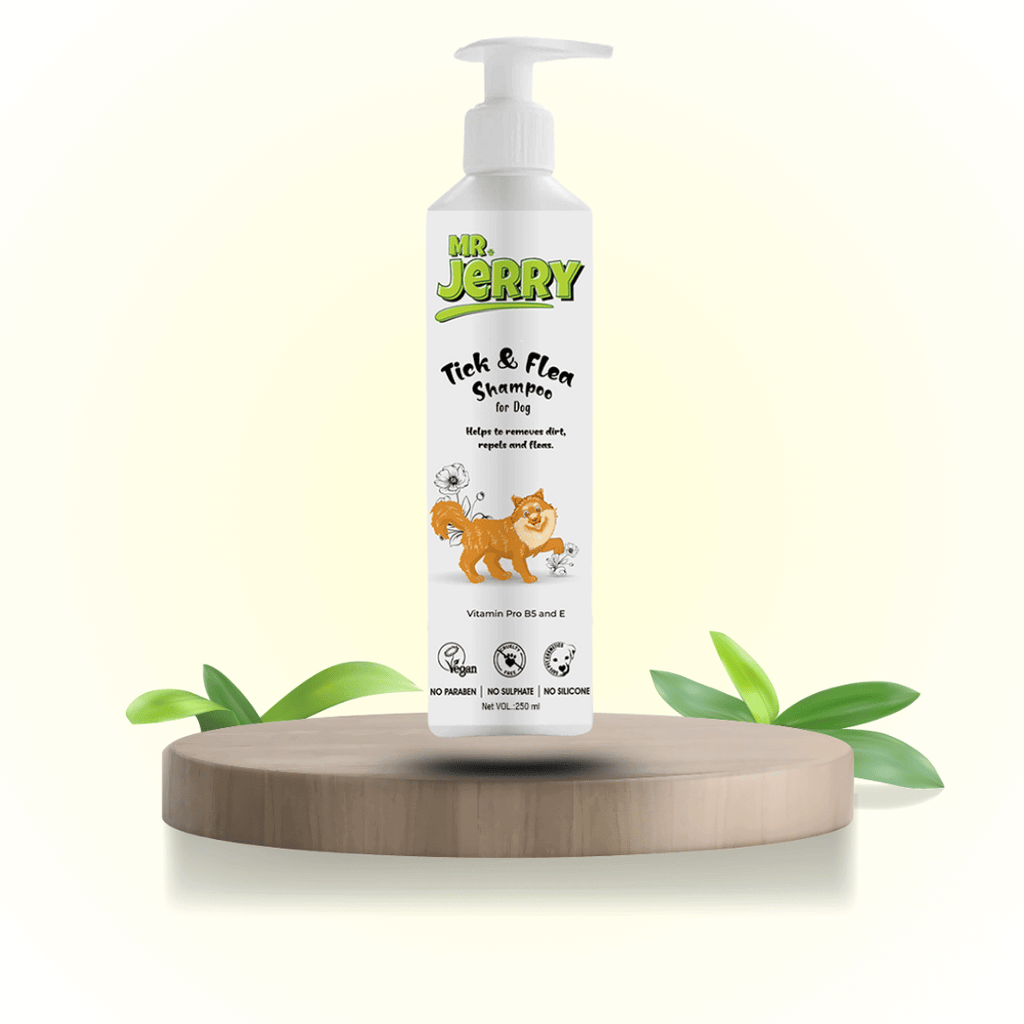 Buy Dog & Cat Products Online in India | Mr. Jerry Pet Store – Mr.Jerry